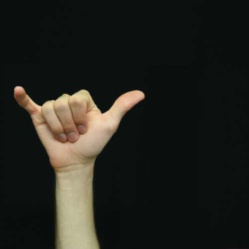 Sign Language I Love You Too